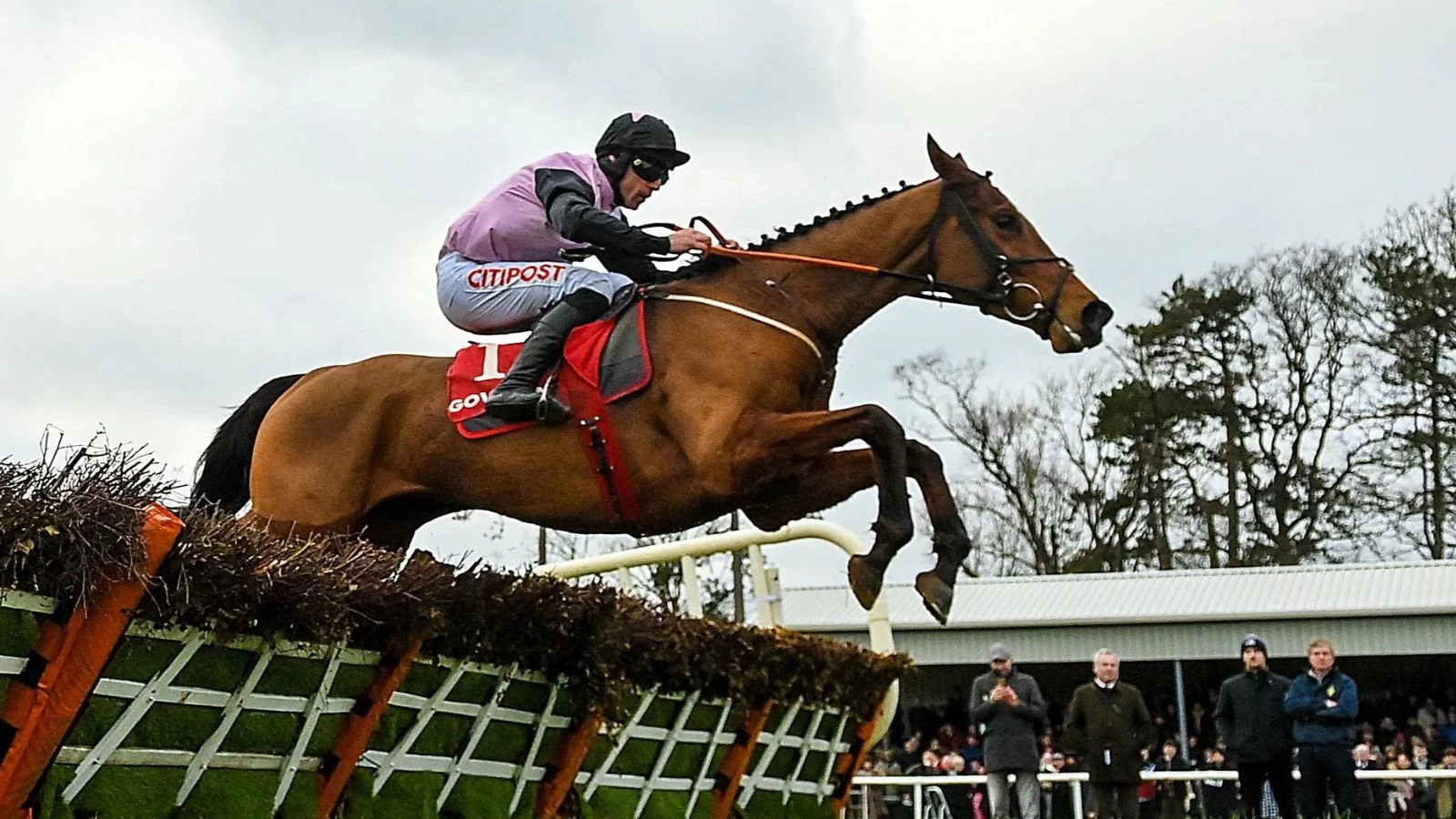 The Cheltenham Festival - Cheltenham Festival